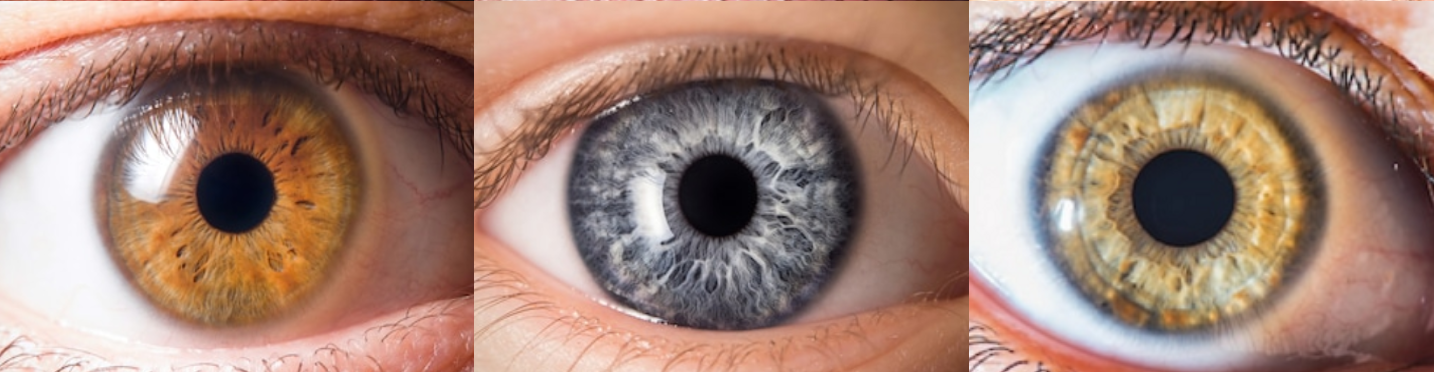 Iridologie : un outil pour déterminer vos prédispositions...